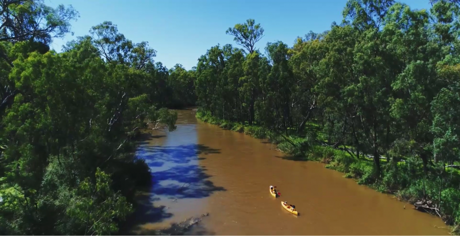 Go with the flow on a Murray River canoe trip | Blog - NSW National Parks